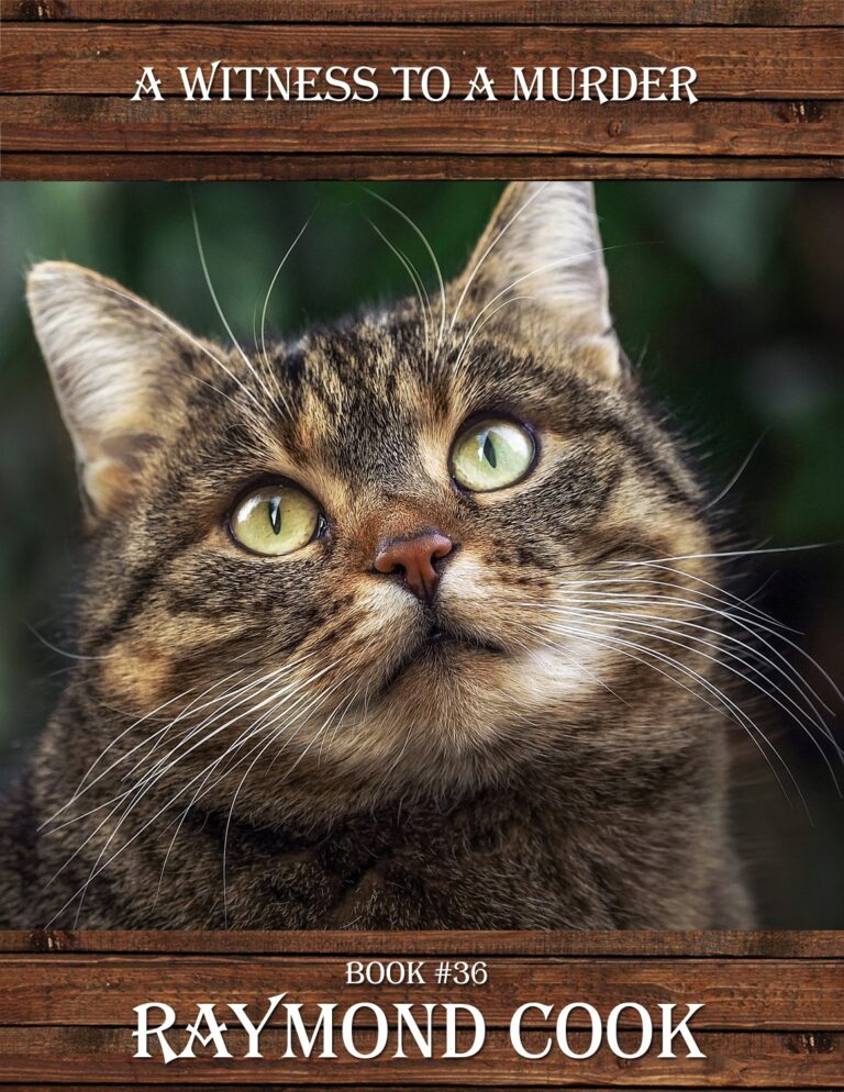 Raymond Cook Official Website - Western Novelist - Howdy Partner!